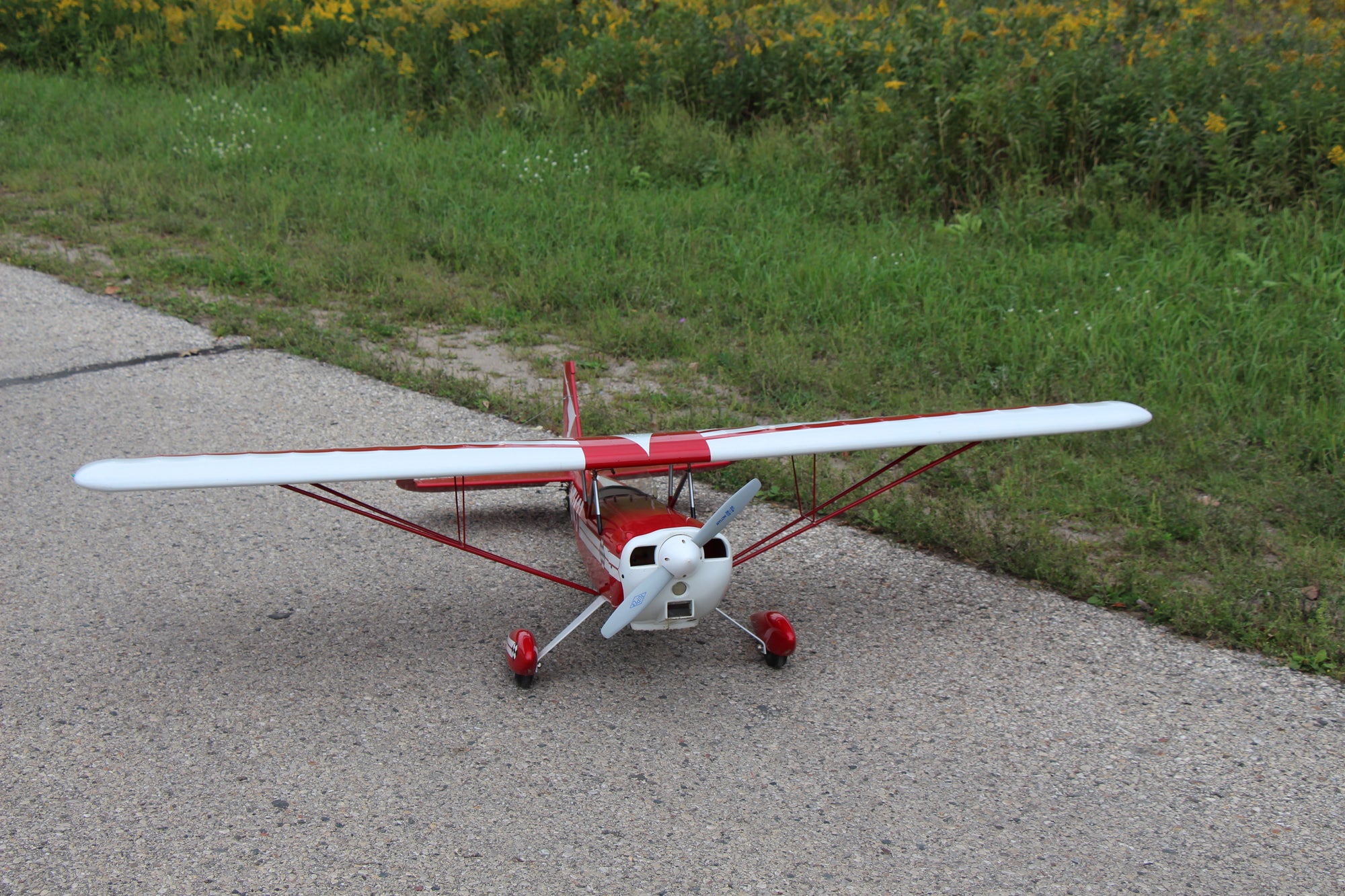 Citabria Aerobatic Pro – Balsa USA